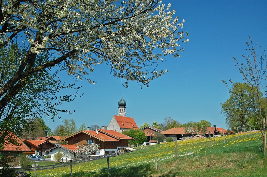 BVWarngau